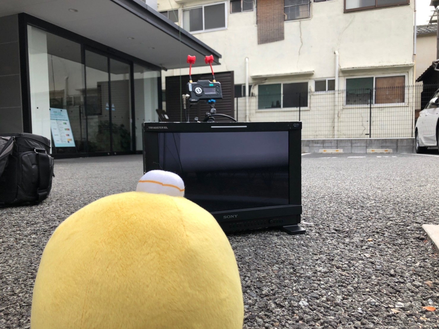 【KBS京都放送予告】CM撮影をフジナガ本社で行いました！ | 鳥害対策（鳩対策・カラス対策）のリーディングカンパニー フジナガの公式ブログ